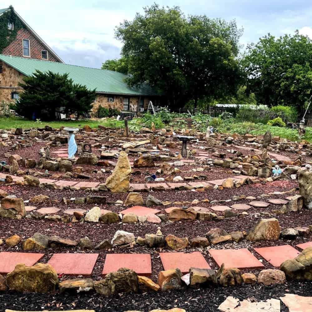 Wizard Wells - My Curly Adventures