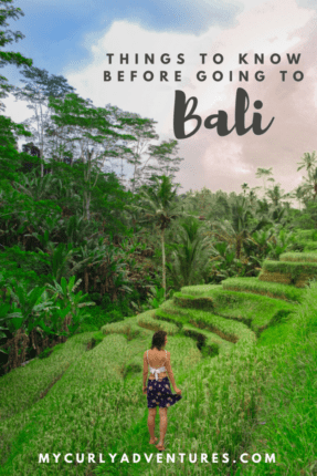 Things To Know Before Going to Bali - My Curly Adventures