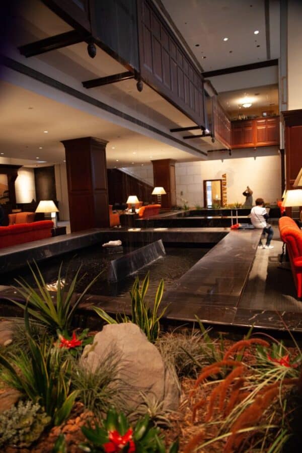 The Best Guide to a Fort Worth Texas Bachelorette Party - My Curly ...
