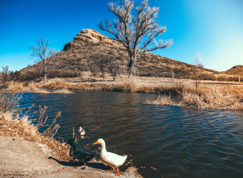 Things to Do in Marathon, Texas: A 2-Day Itinerary - My Curly Adventures