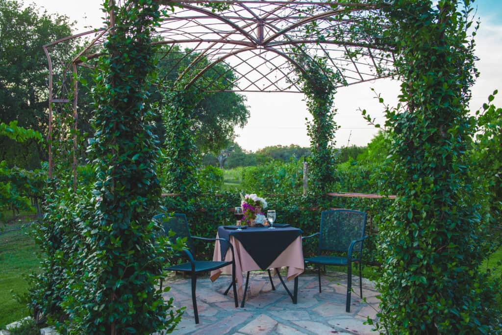 Fun Spring Break Destinations in Texas - My Curly Adventures