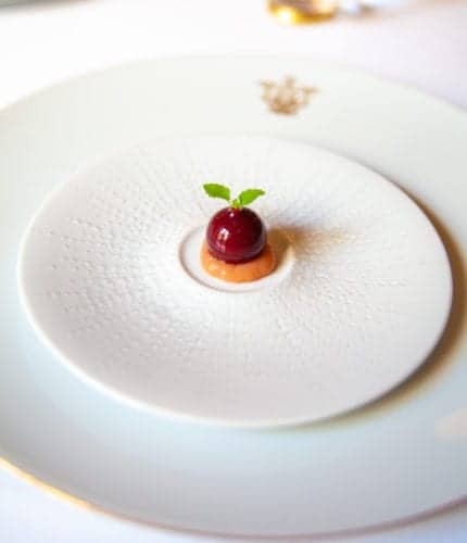 5 Course Dining at the French Room in Adolphus Hotel - My Curly Adventures