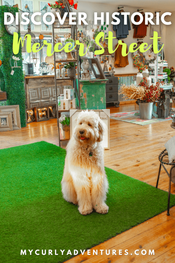 Discover Historic Mercer Street in Dripping Springs - My Curly Adventures