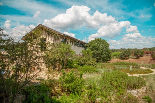 Things to Do in Driftwood, Texas - My Curly Adventures