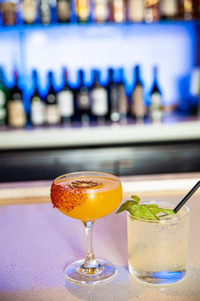 Canvas Hotel Dallas Review: Rooftop Pool & Skyline Views - My Curly ...