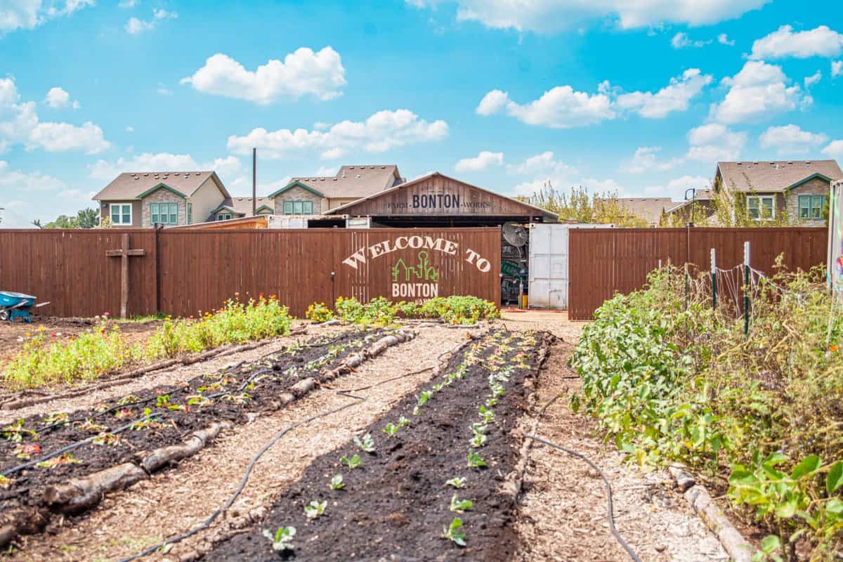 Eat Out in Dallas & Support a Non-Profit: Bonton Farms - My Curly ...