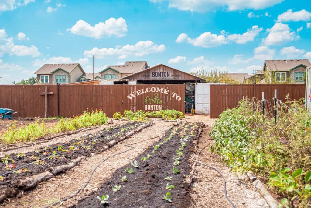 Eat Out in Dallas & Support a Non-Profit: Bonton Farms - My Curly ...