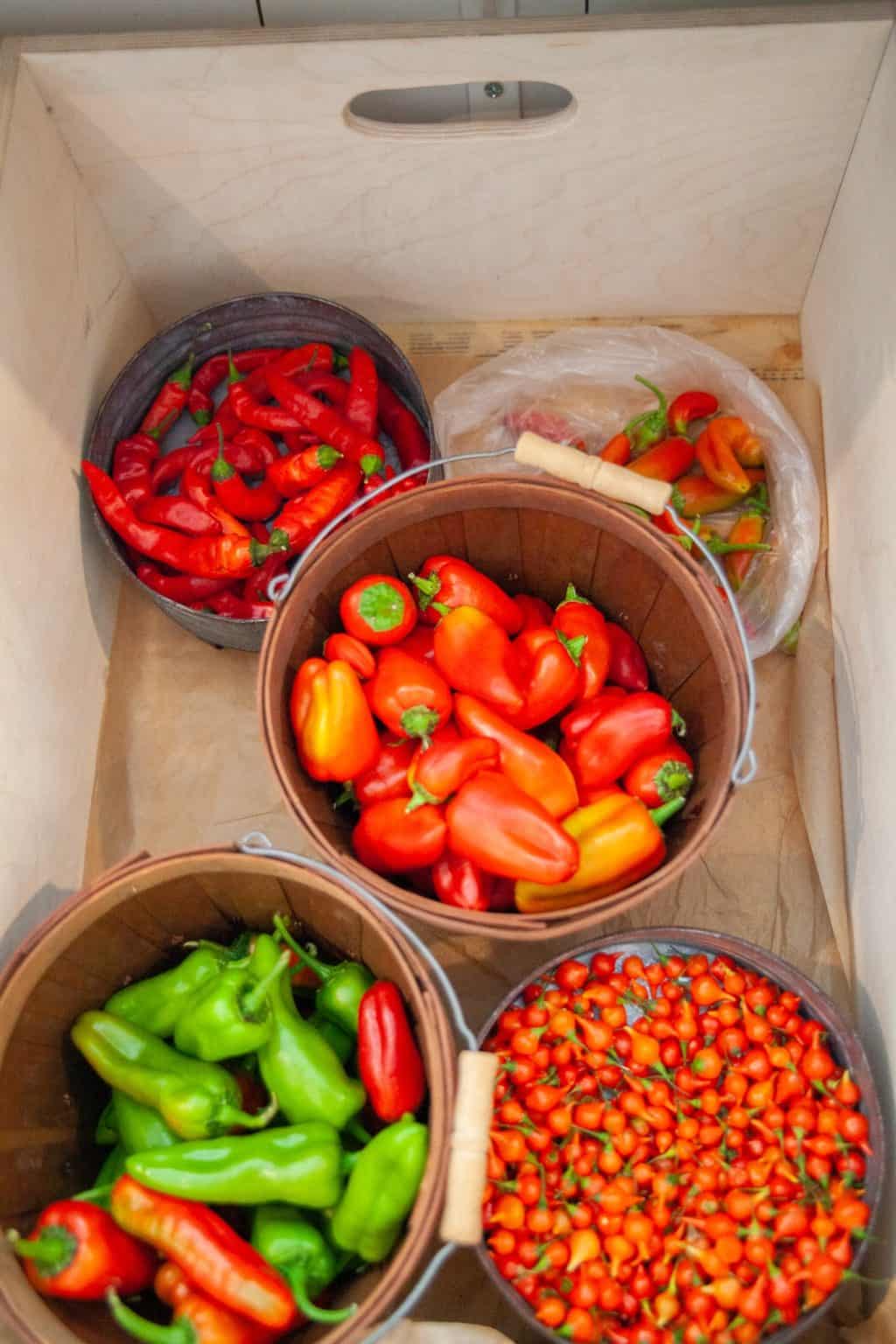 Eat Out in Dallas & Support a Non-Profit: Bonton Farms - My Curly ...