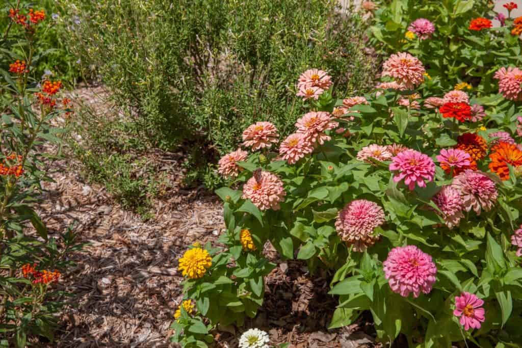 Say Hi in Hye: Things to Do in Hye Texas - My Curly Adventures