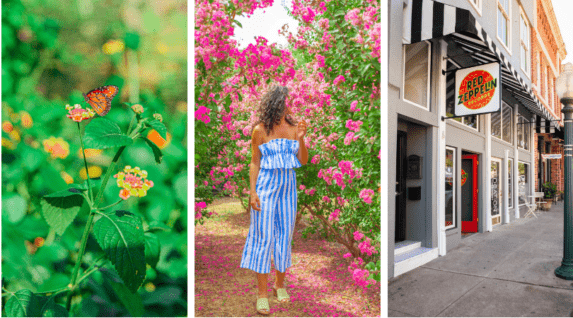 Top Activities and Attractions in McKinney Tx - My Curly Adventures