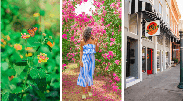 Top Activities and Attractions in McKinney Tx - My Curly Adventures