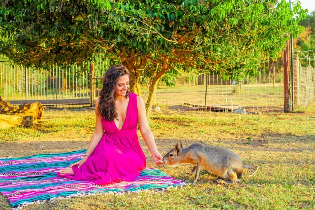 Things to Do in Manchaca TX - My Curly Adventures