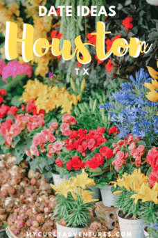 35+ Free Houston Date Ideas for Couples - My Curly Adventures