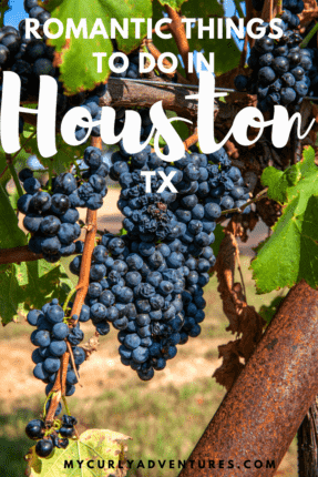 215+ Best Date Ideas in Houston - My Curly Adventures