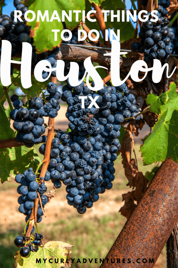 215+ Best Date Ideas in Houston - My Curly Adventures