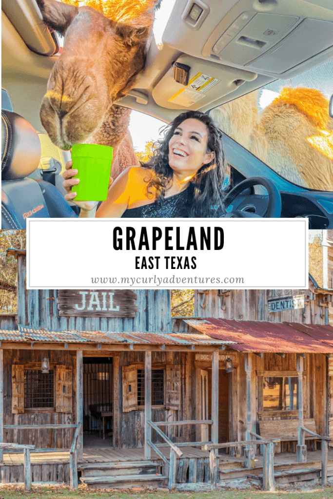 Things to Do in Grapeland TX - My Curly Adventures