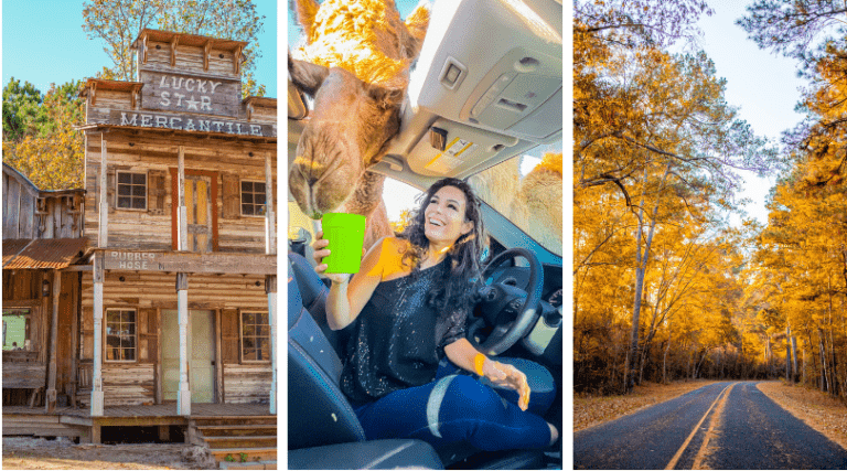 Things to Do in Grapeland TX - My Curly Adventures