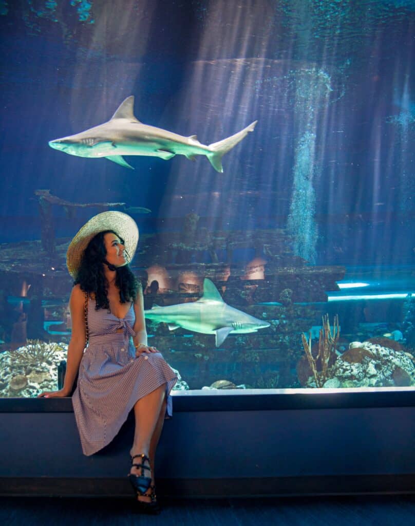 20 Romantic Things To Do In Corpus Christi For Couples My Curly