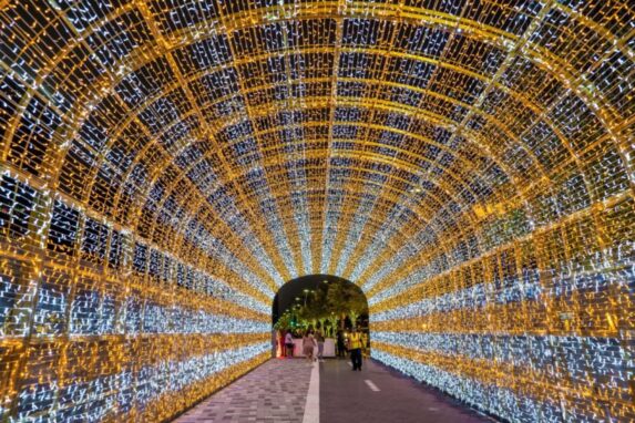Top Christmas Events & Holiday Things to Do in Houston - My Curly ...