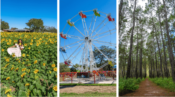23+ Best Things to Do in Conroe TX - My Curly Adventures