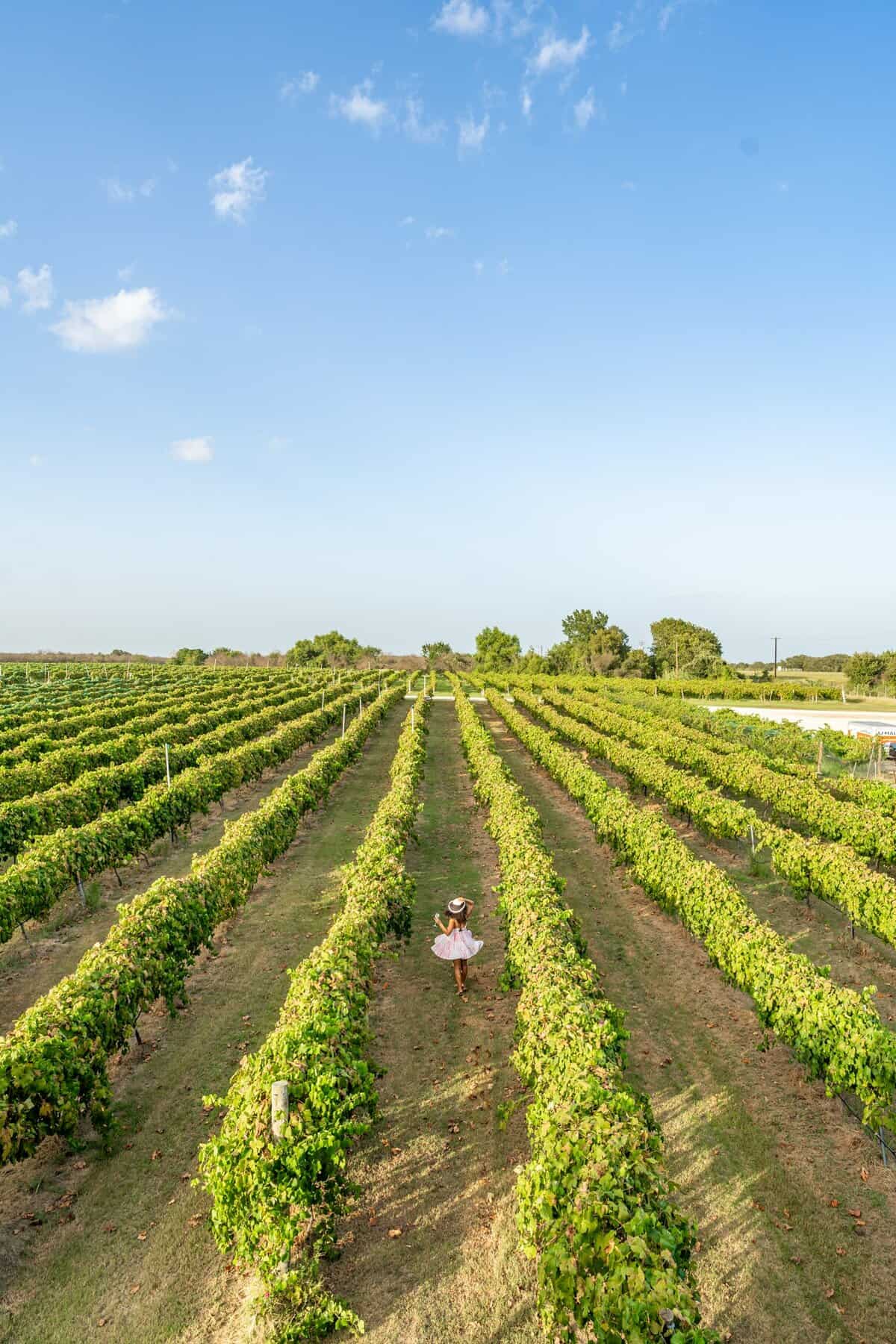 16+ Things to Do in Bryan TX - My Curly Adventures