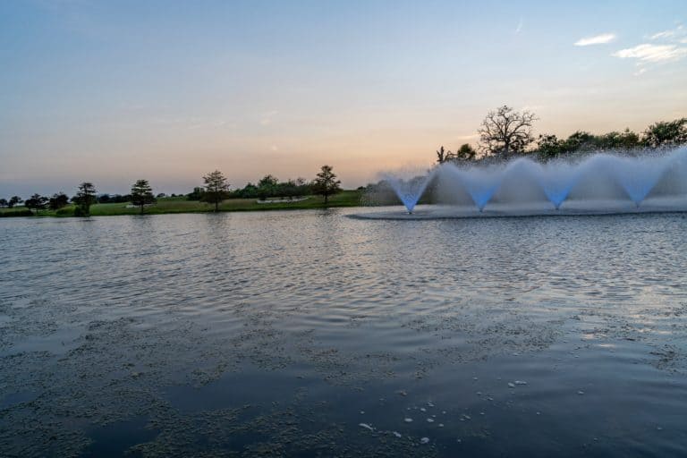 16+ Things to Do in Bryan TX - My Curly Adventures