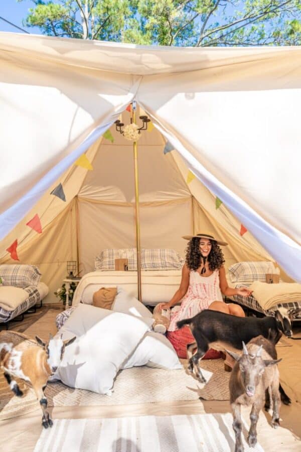 Where to Stay in Alvin TX: Goats on the Bayou Farm - My Curly Adventures