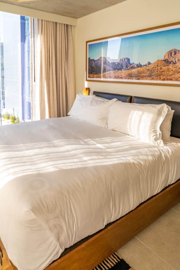 Where to Stay in Austin TX: A Review of the Hotels Thompson and Tommie ...