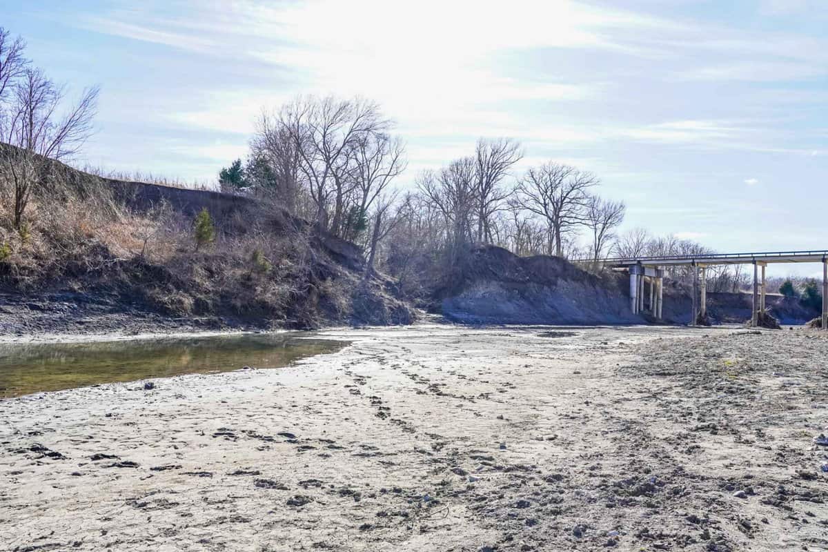 Small Town, Big Future: Things to Do in Ladonia TX - My Curly Adventures