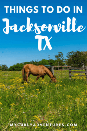 15+ Things to Do in Jacksonville TX - My Curly Adventures