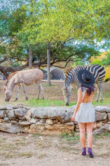 The Best 2025 Fall Festivals & Pumpkin Patches in Texas - My Curly ...