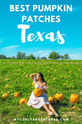 The Best 2024 Fall Festivals & Pumpkin Patches in Texas - My Curly ...