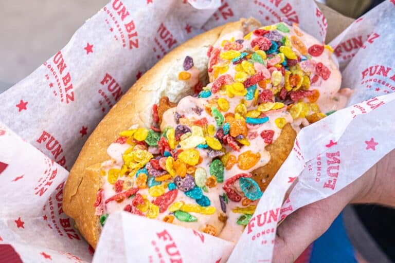 How to Save Money at the Texas State Fair - My Curly Adventures