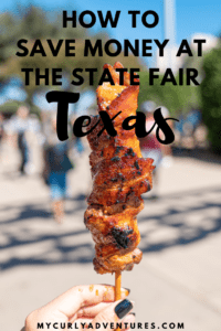 How to Save Money at the Texas State Fair - My Curly Adventures