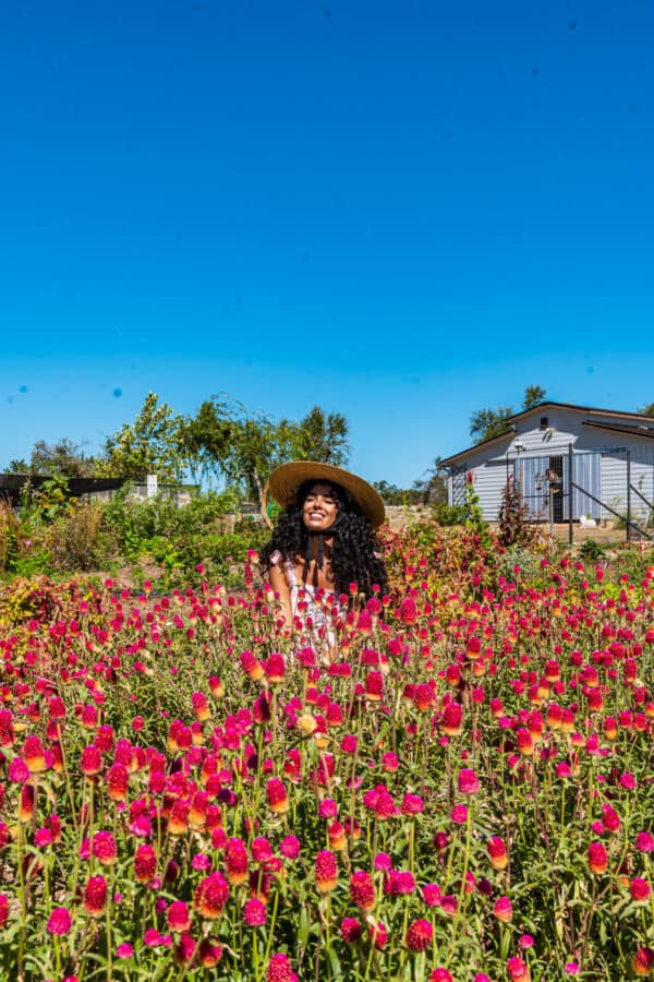 Visit the Best Flower Picking Farms in Texas | My Curly Adventures