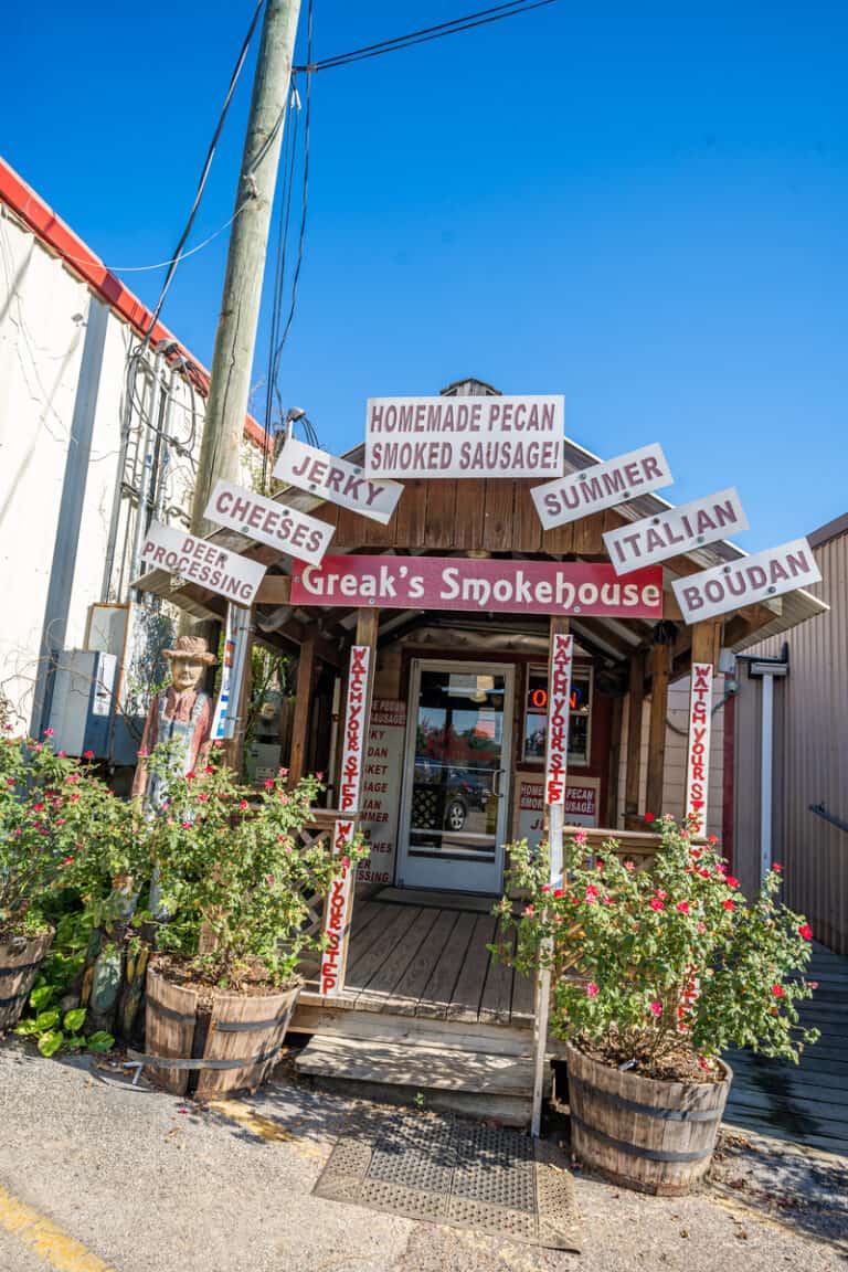 Berry Picking Farms in Texas - My Curly Adventures