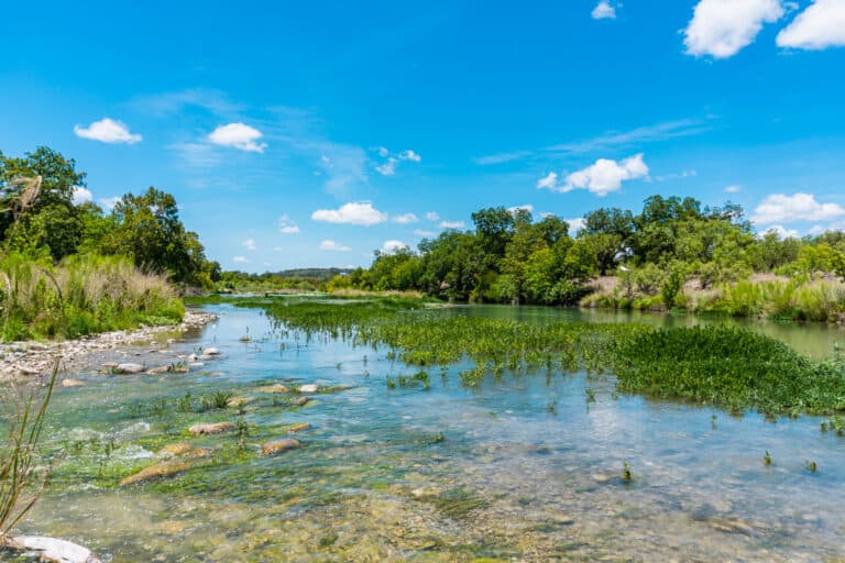 20+ Best Things to Do in & Around Junction TX - My Curly Adventures