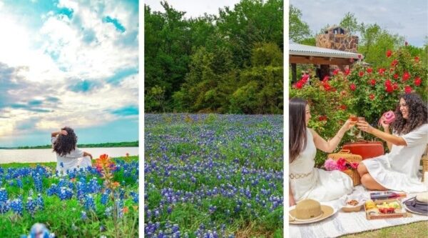 70+ Dallas TX Day Trips & Places to Visit - My Curly Adventures