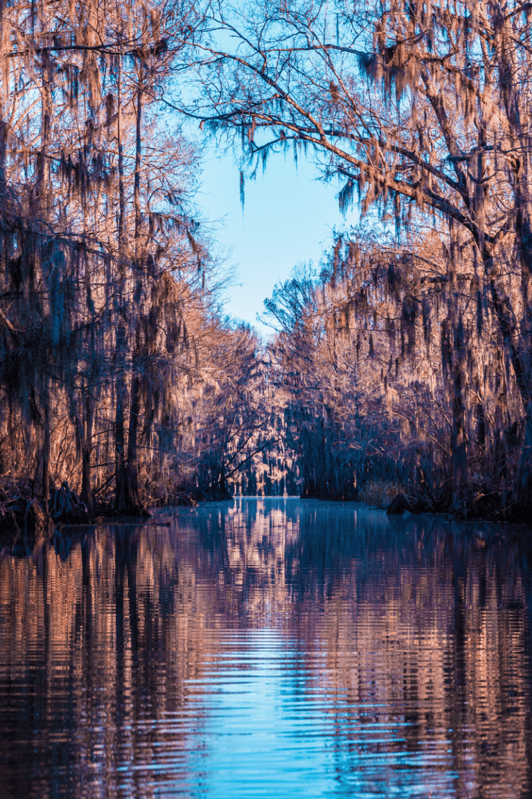 Top 20 Cool Places to Visit in Texas During Summer - My Curly Adventures