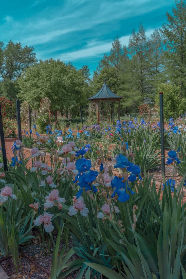 Best Hiking Trails Near Dallas & Fort Worth, Texas - My Curly Adventures