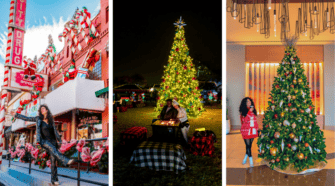 Best Christmas Lights in Dallas - My Curly Adventures