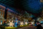 Best Christmas Lights in Dallas - My Curly Adventures