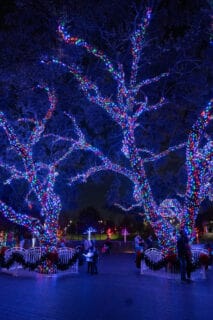 Best Christmas Lights in Dallas - My Curly Adventures