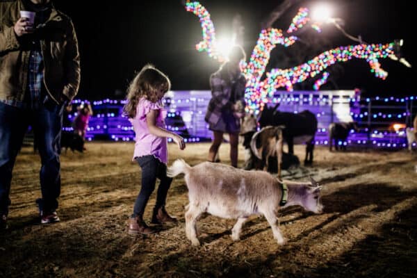 Christmas Events & Holiday Things To Do in Boerne TX - My Curly Adventures