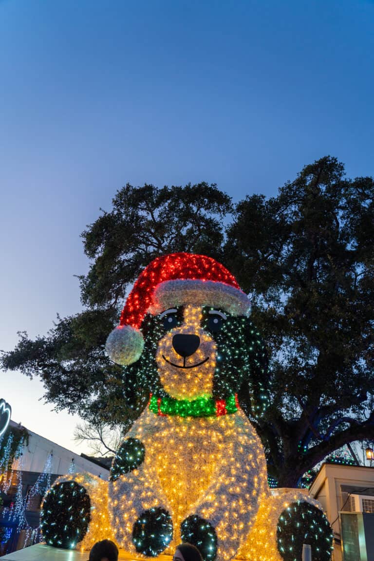 Austin Christmas Events and Holiday Things - My Curly Adventures