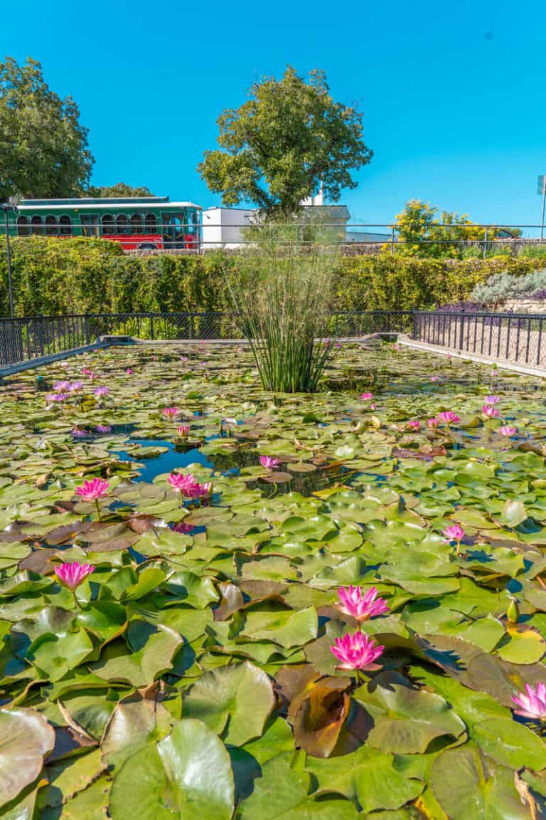 Best Things to Do in San Angelo, Texas this Weekend - My Curly Adventures