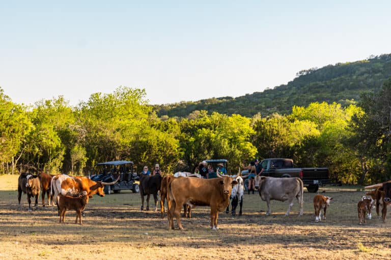 45+ Things to Do in Bandera TX - My Curly Adventures