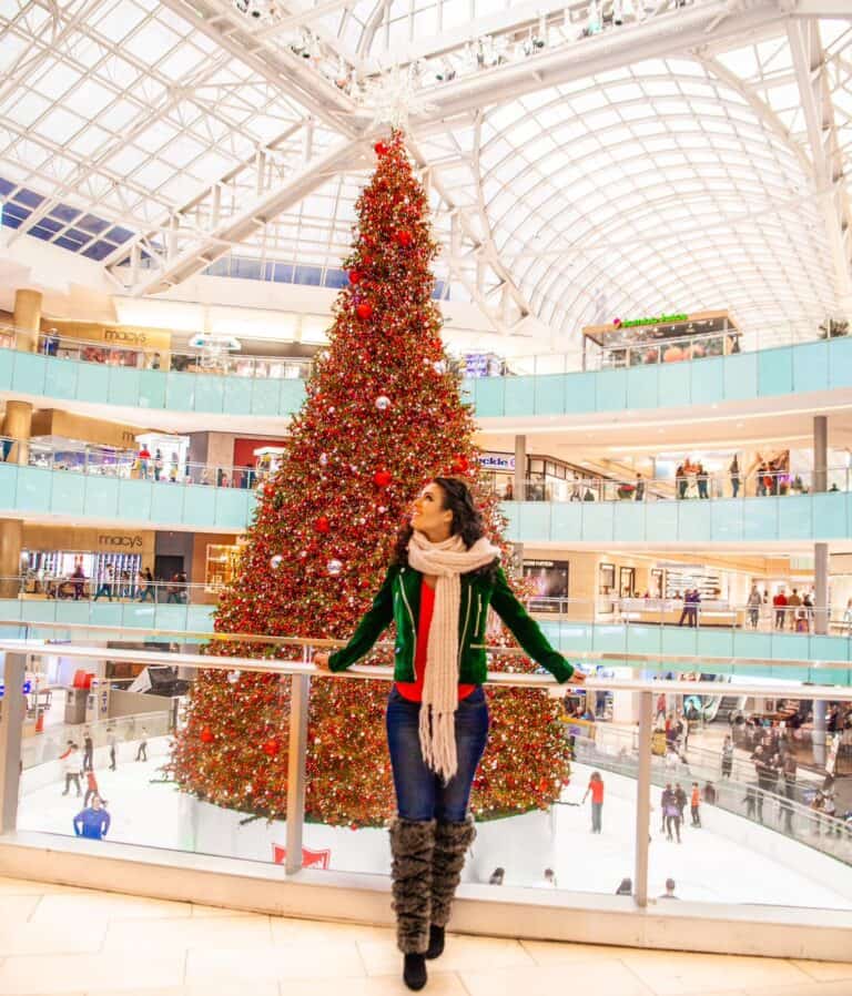 Top Christmas Events & Holiday Things to Do in Houston - My Curly ...