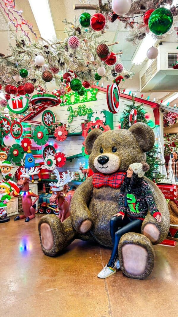 Top Christmas Events & Holiday Things to Do in Houston - My Curly ...