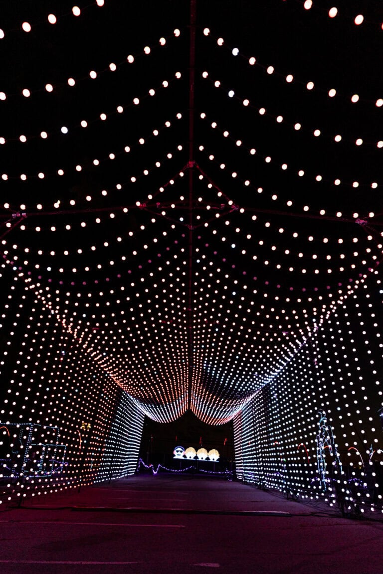 Christmas Things to do in Texas - My Curly Adventures